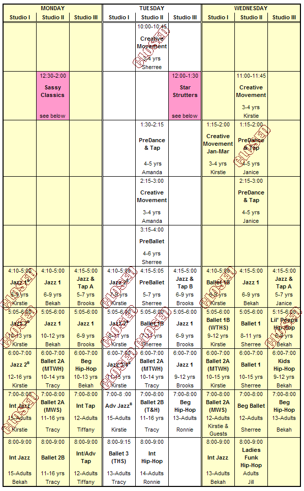 North Carolina Dance Institute :: 2008-2009 (Fall/Spring) Dance Class ...